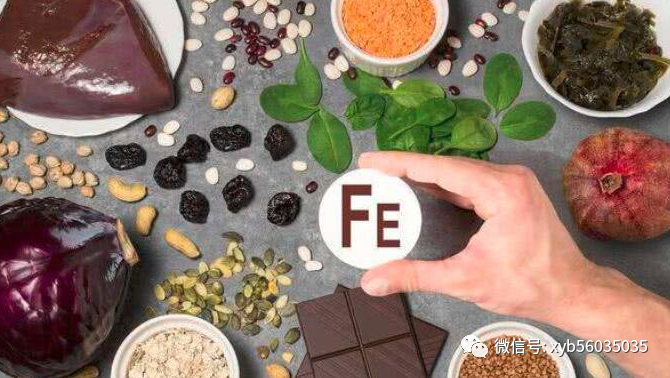 缺铁“补”起来！能治疗缺铁性贫血的补铁剂都有哪些？_史淑荣_主任医师_爱问健康