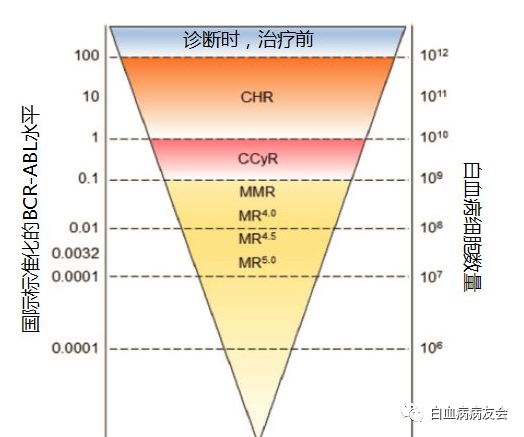 关于MR4.5：靶向药治疗白血病的最佳效果是什么？_史淑荣_主任医师_爱问健康
